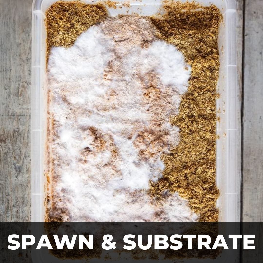Mushroom Spawn & Substrates – planetspores.ca