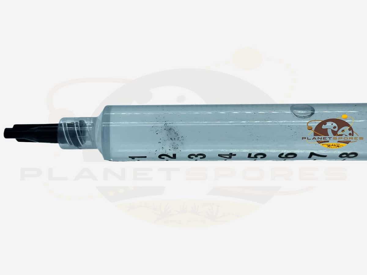 How to Study Mushrooms and Spores Using a Microscope – planetspores.ca